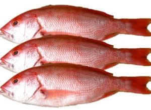 Pargo Rojo Entero Pack 3 unidades de 280-320 gr c/u - Las Mejores ...
